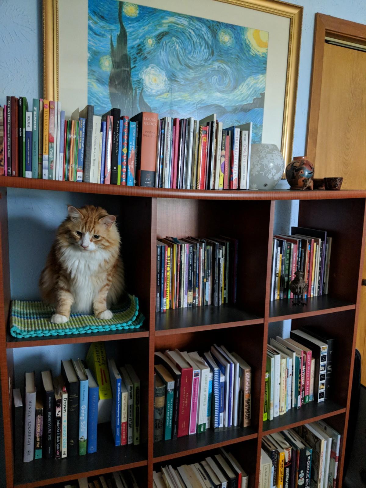 Project Bookshelf: Laura Villareal - The Sundress Blog