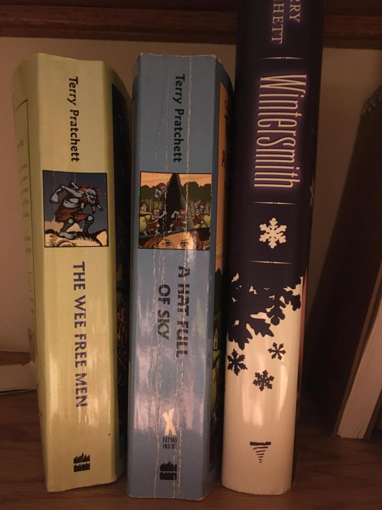 Project Bookshelf: Hannah Soyer - The Sundress Blog