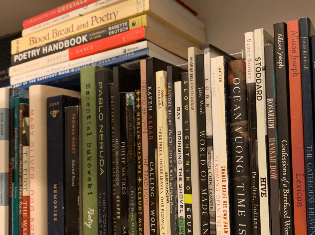 Project Bookshelf: Lyra Thomas - The Sundress Blog