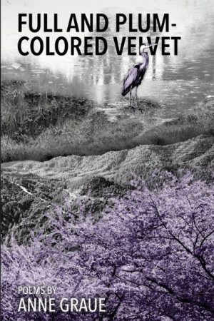 The Wardrobe's Best Dressed: Full and Plum-Colored Velvet by Anne Graue ...