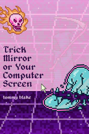 The Wardrobe's Best Dressed: Trick Mirror or Your Computer Screen by ...